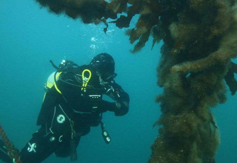 Dykketur i Island - Strýtan i det nordlige Island